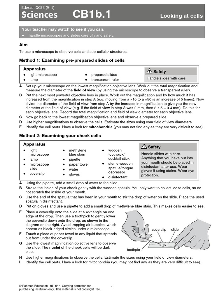 CB1b.1 Microscopes Looking at Cells | PDF | Home & Garden