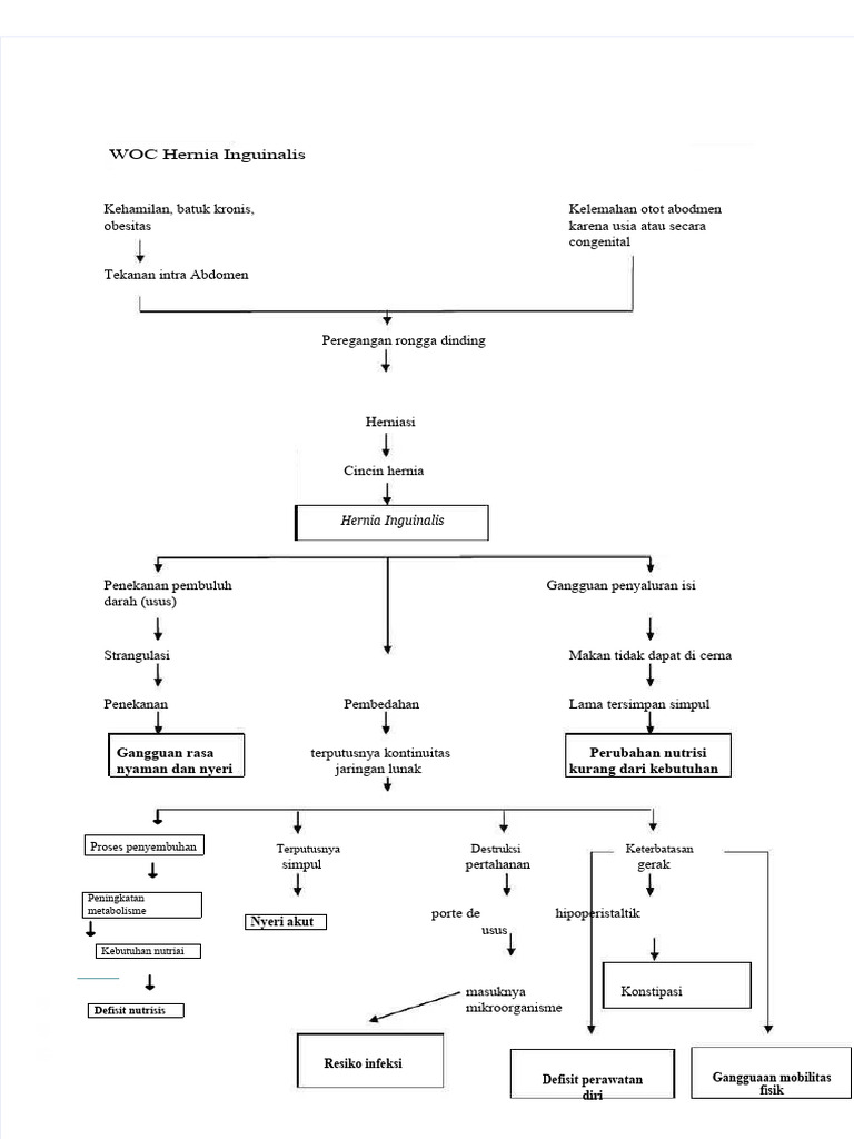 PDF Woc Hernia Inguinalis | PDF