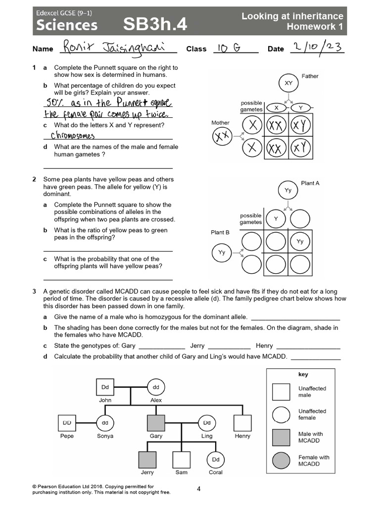 Inheritance Homework | PDF