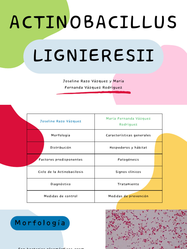 Actinobacillus Lignieresii | PDF