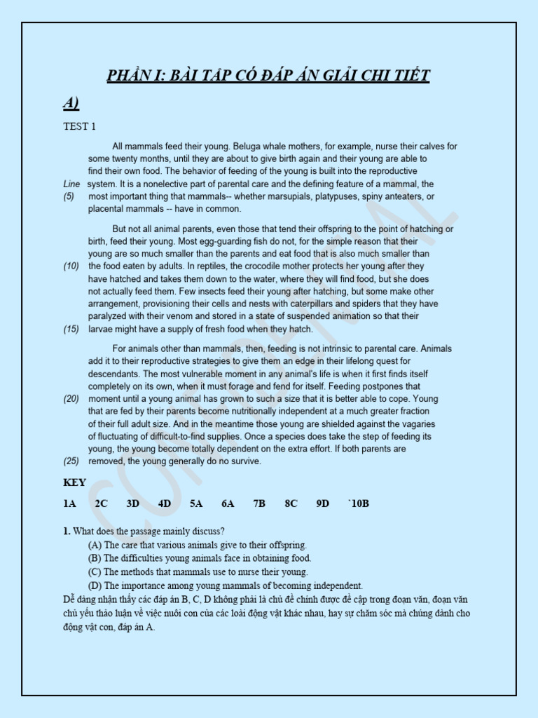 Key Reading Comprehension | PDF
