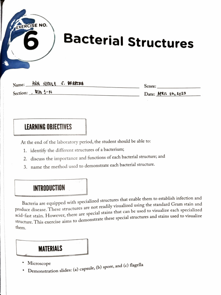 Exercise 6 - Bacterial Structures | PDF