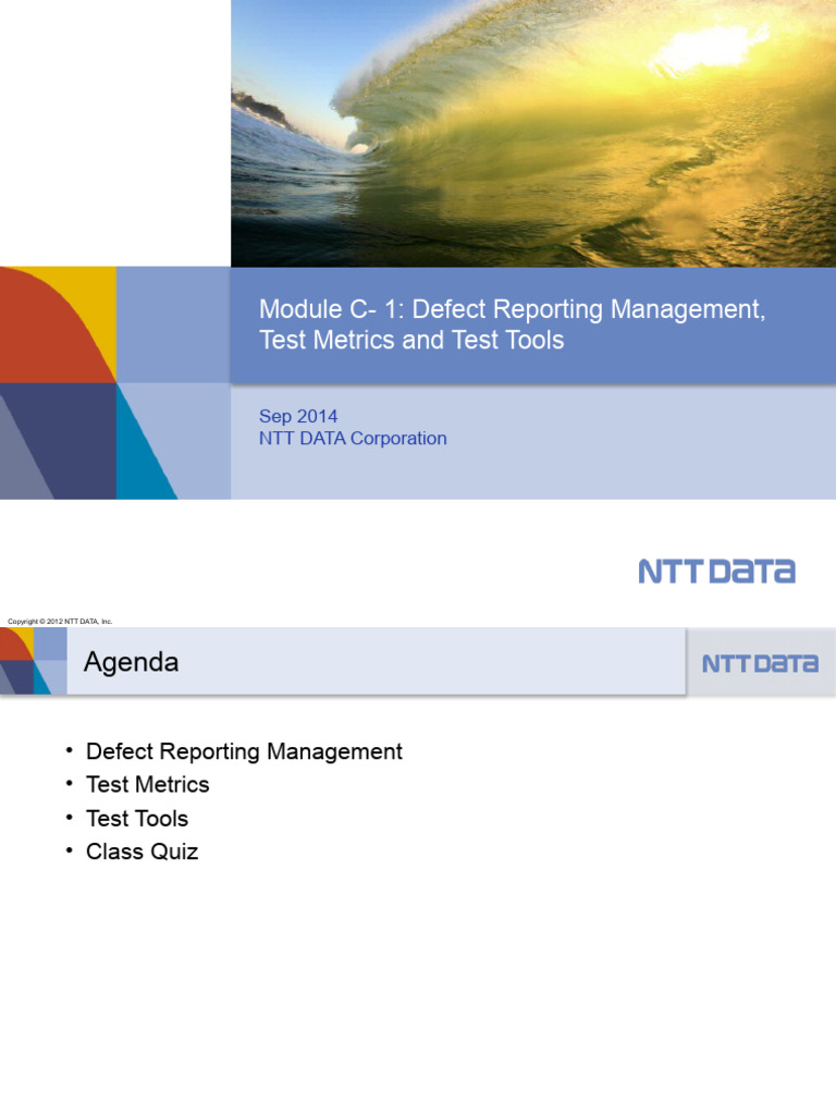 C1 Defect Reporting Metrics Tools Pdf Technology And Engineering