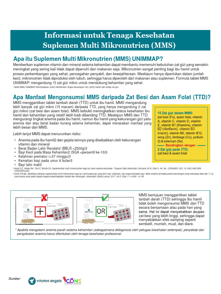 Petunjuk MMS | PDF