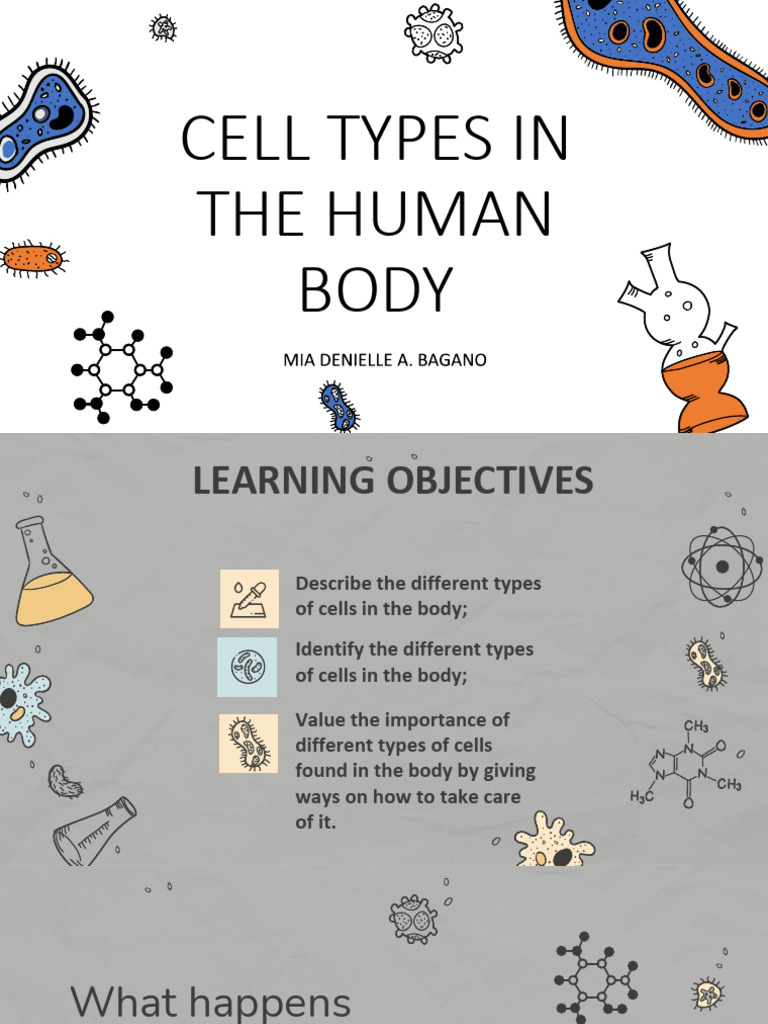 Cell Types in The Human Body | PDF