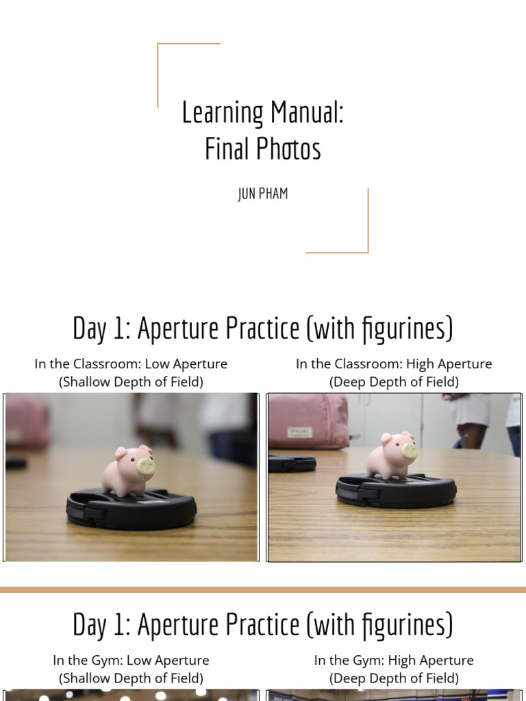 Hannah Pham - Learning Manual Final Photos | PDF
