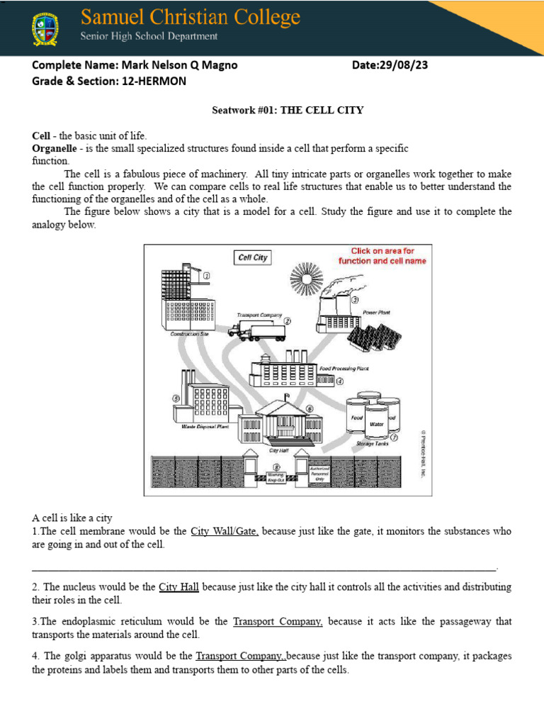 MAGNO, Mark Nelson - STEM-4 - SEATWORK#01 - CELL-ANALOGY | PDF