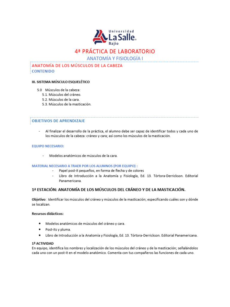 4a Práctica Lab Anatomia Músculos de La Cabeza | PDF