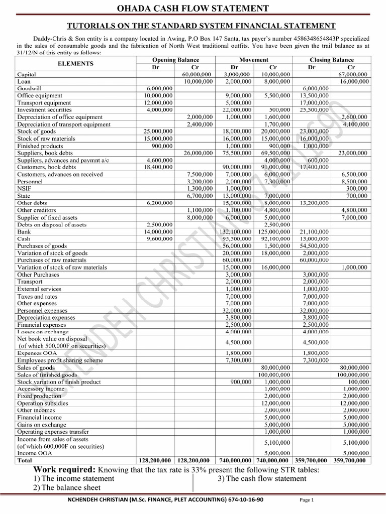 OHADA_CASH_FLOW_STATEMENT_pdf | PDF