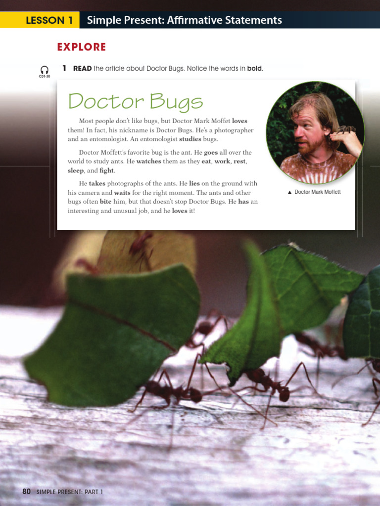 Simple Present N GEO | PDF