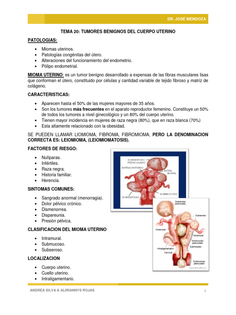 Tema 20. Tumores Benignos Del Cuerpo Uterino | PDF