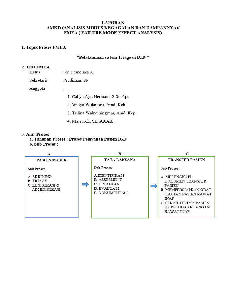 Fmea Triage Igd | PDF