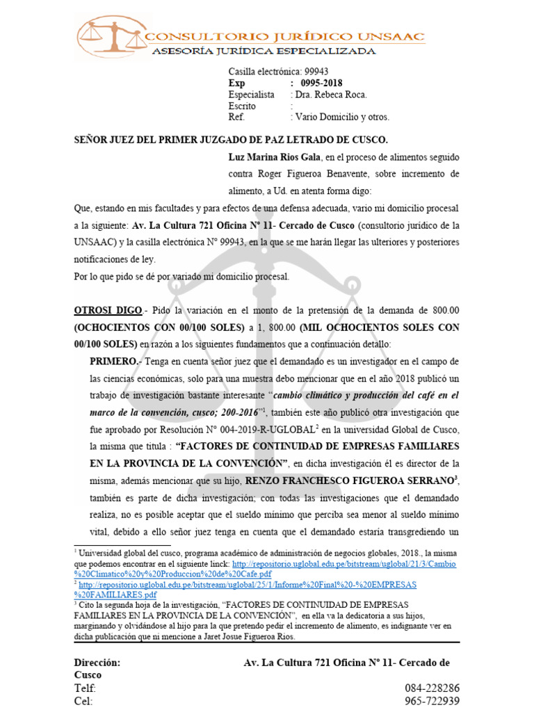 Presenta Alegatos y Otros. | PDF