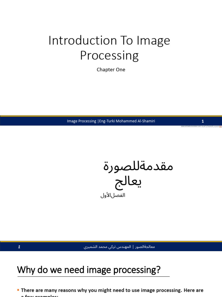 CH1-DIP-L3-Turki Group - مترجم | PDF