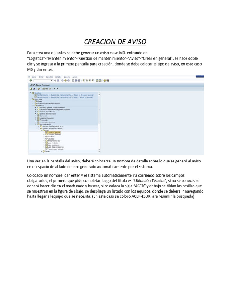 Sap Manual Basico | PDF