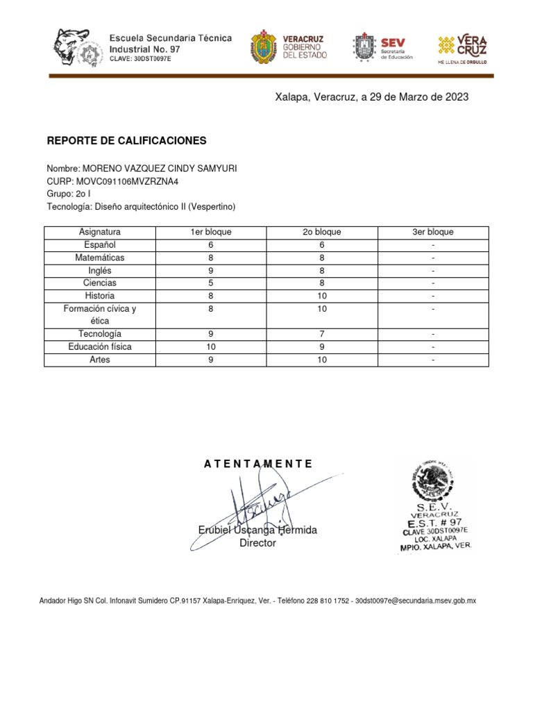 Reporte de Calificaciones de Cindy Samyuri | PDF
