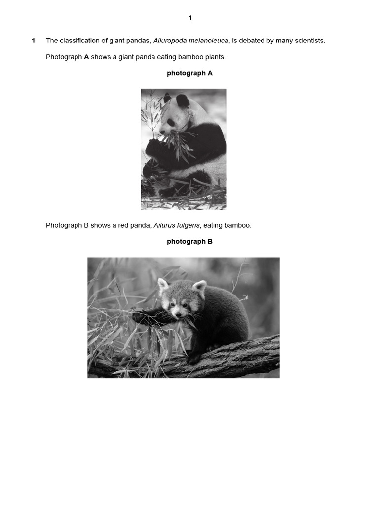 Biology Assignment Year 9 | PDF