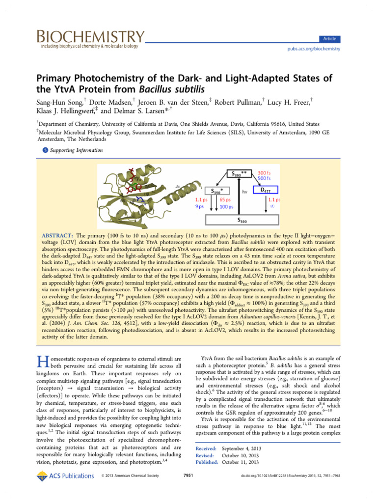 Primary Photochemistry of The Dark - and Light-Adapted States of The ...