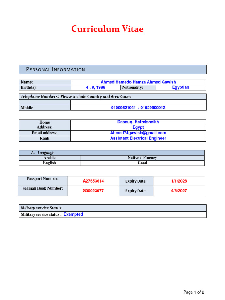 Ahmed Hamedo Hamza Ahmed Gawish-1 | PDF | National Security