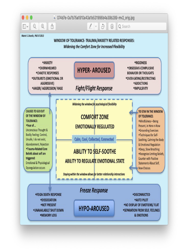 Window of Tolerance | PDF