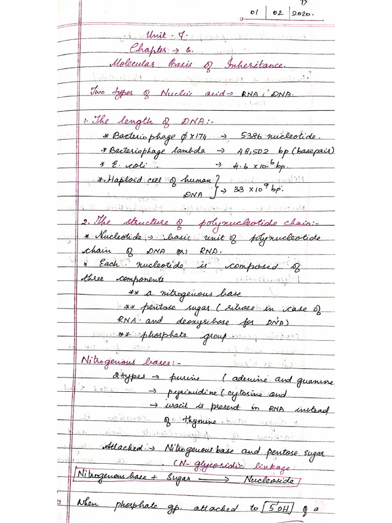 Class 12 C 6 Notes | PDF