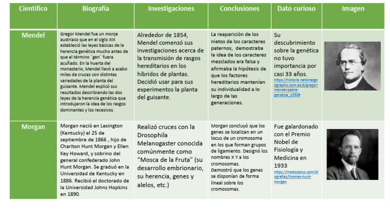 Mendel y Morgan | PDF | Genética | Biología