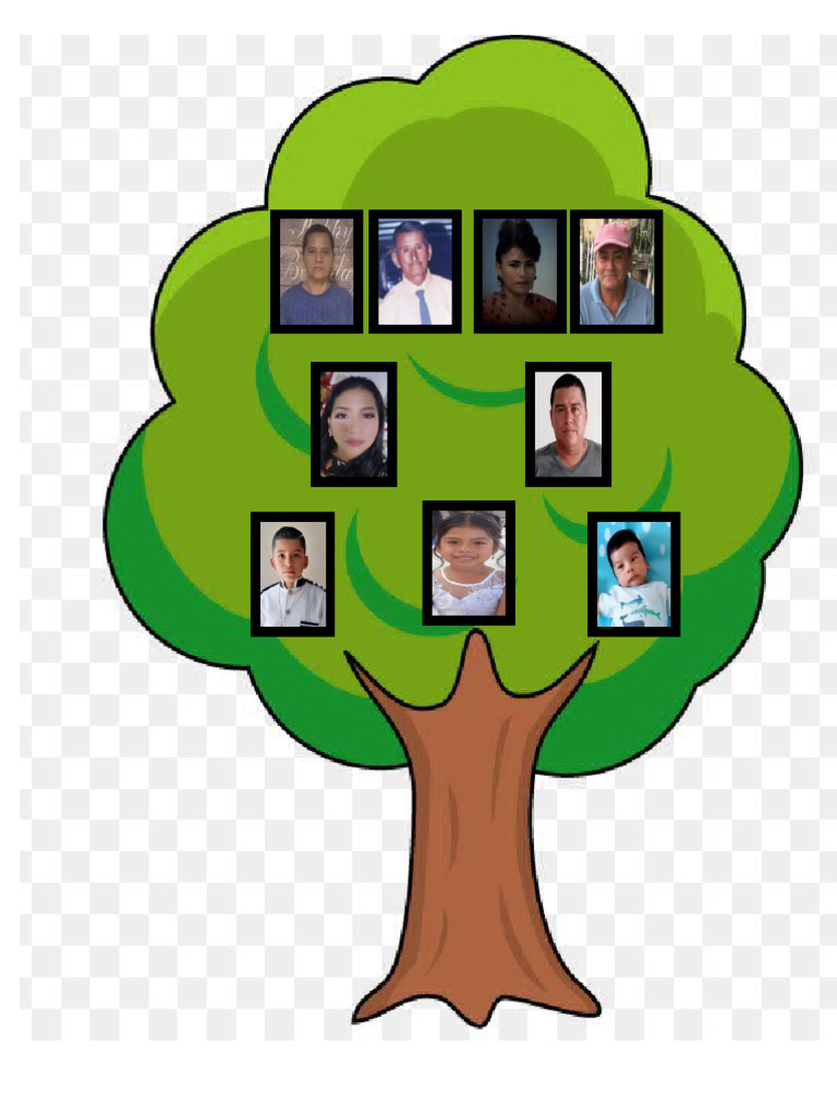 Mi Árbol Geologico | PDF