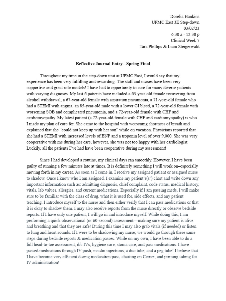 Reflective Journal Entry-Spring Final-Dhankins | PDF