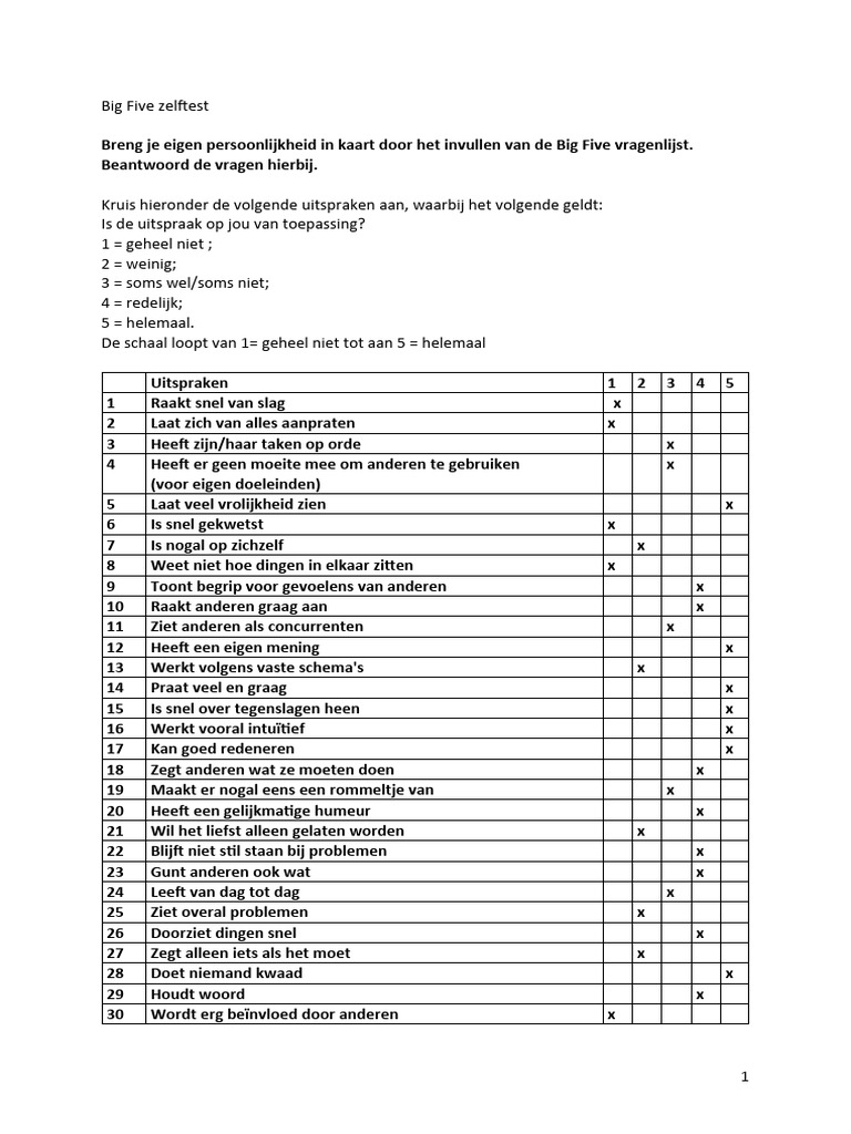 Big Five Zelftest | PDF