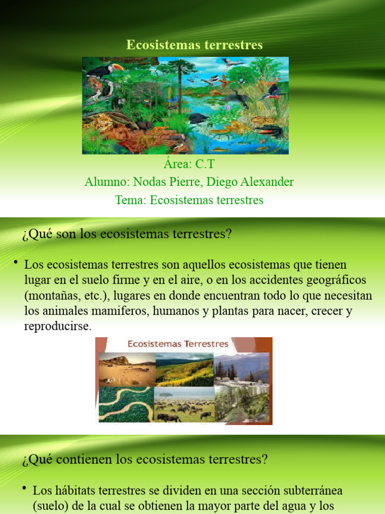 Ecosistemas Terrestres | PDF