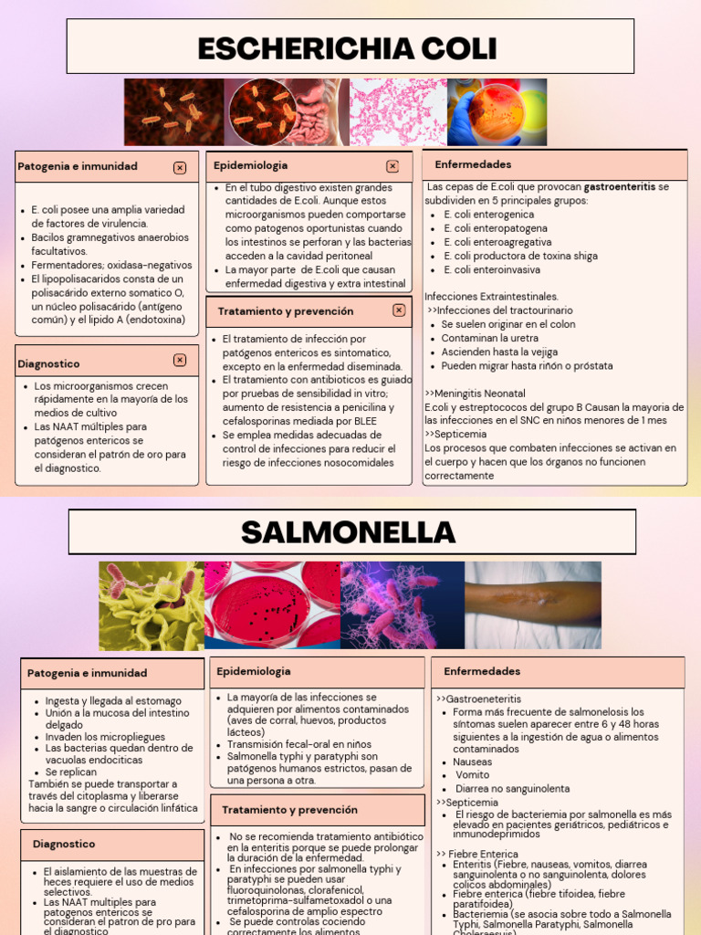 Enterobacteriaceae | PDF | Escherichia coli | Salmonela