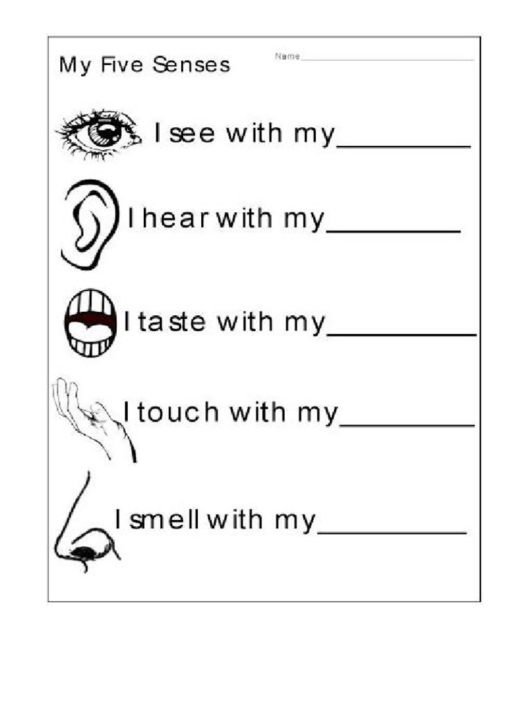 My five senses | PDF