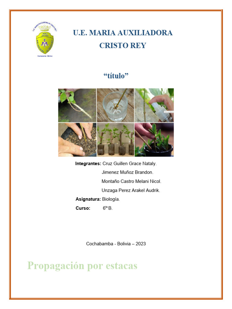 Estaca | PDF | Ciencia y matemáticas