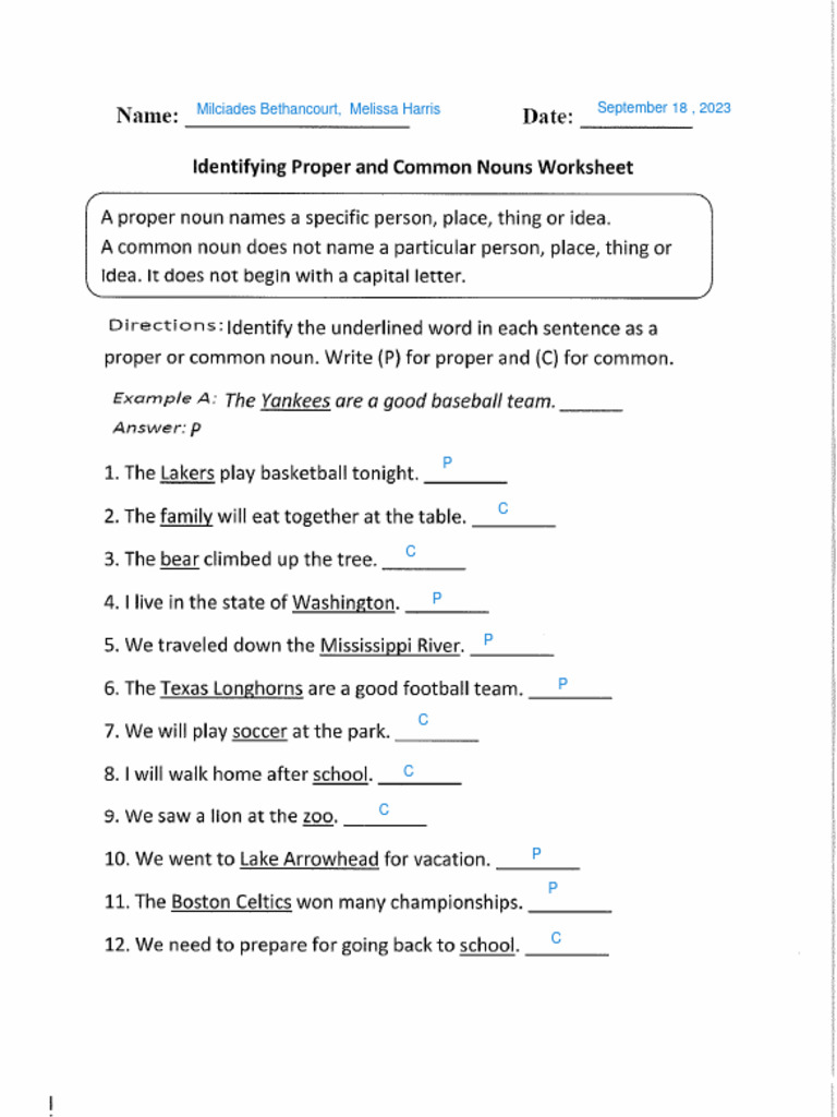 COMMON AND PROPER NOUNS Work 1 | PDF | Linguistic Typology | Grammar