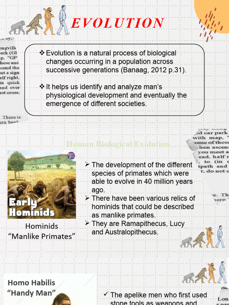 Evolution | PDF