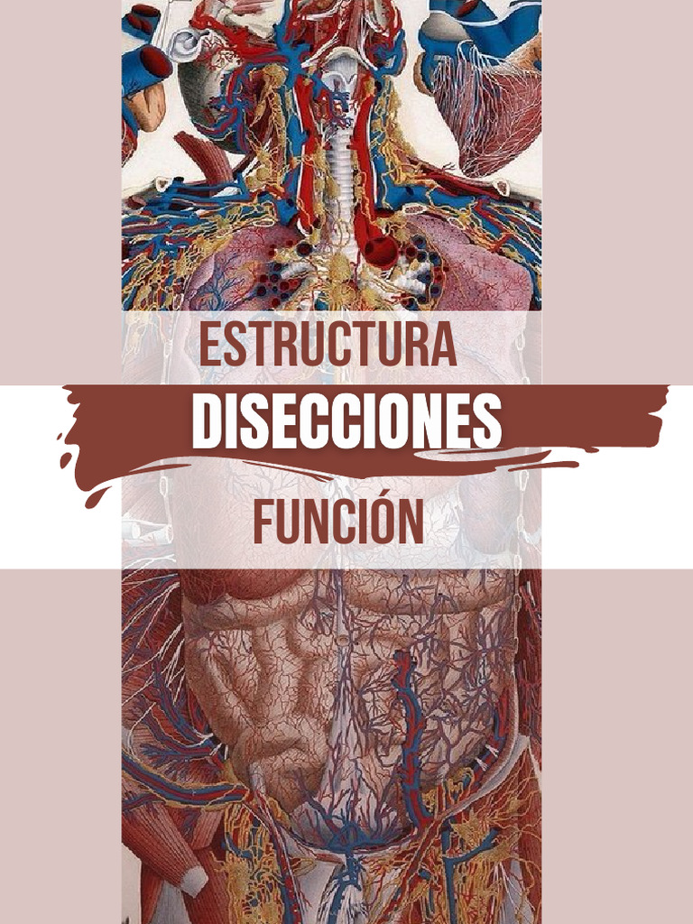 Estructura y Función | PDF
