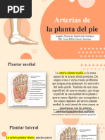 Anatomía de la Arteria Pedia del Pie | PDF | Pie | Dedo del pie
