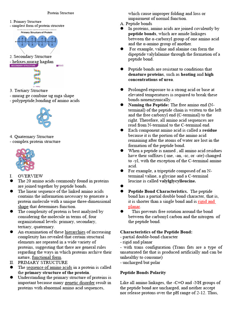 Protein Structure | PDF