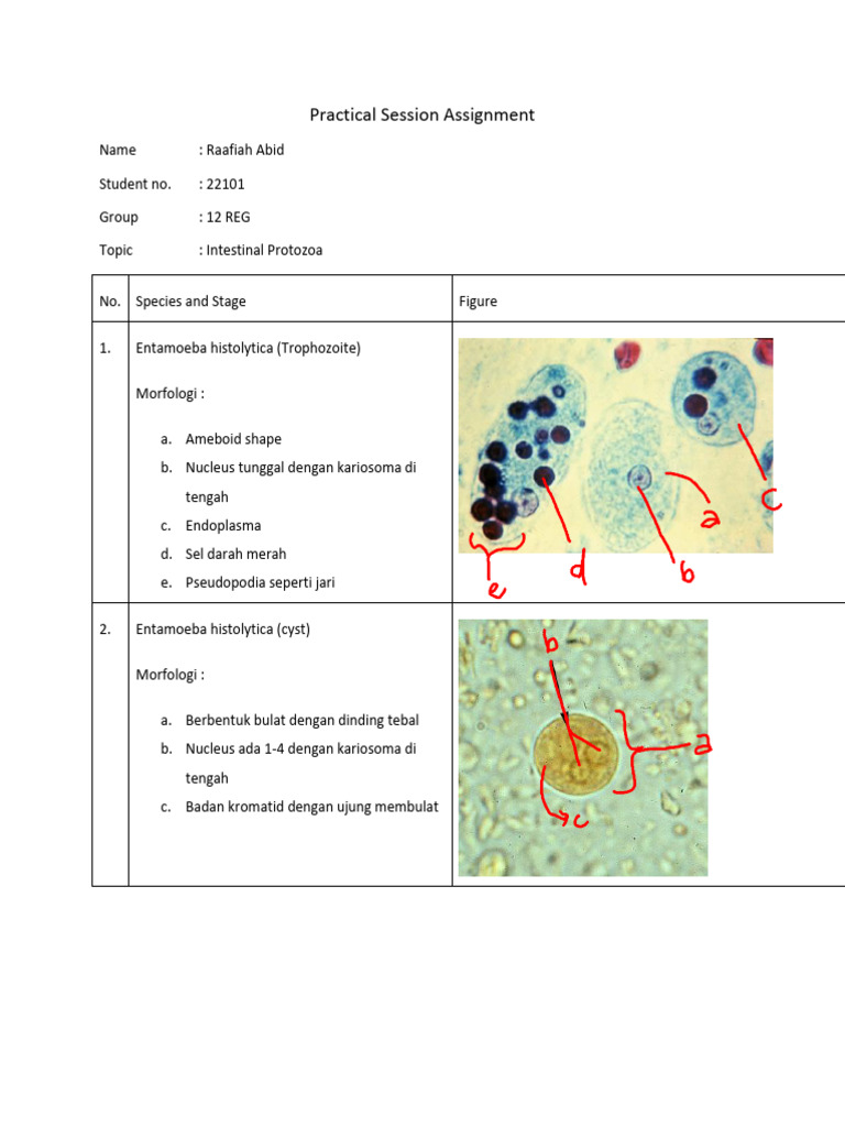 Practical Session Assignment | PDF | Sains & Matematika