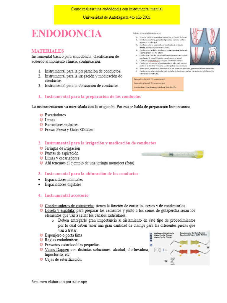 Resumen de Endo | PDF
