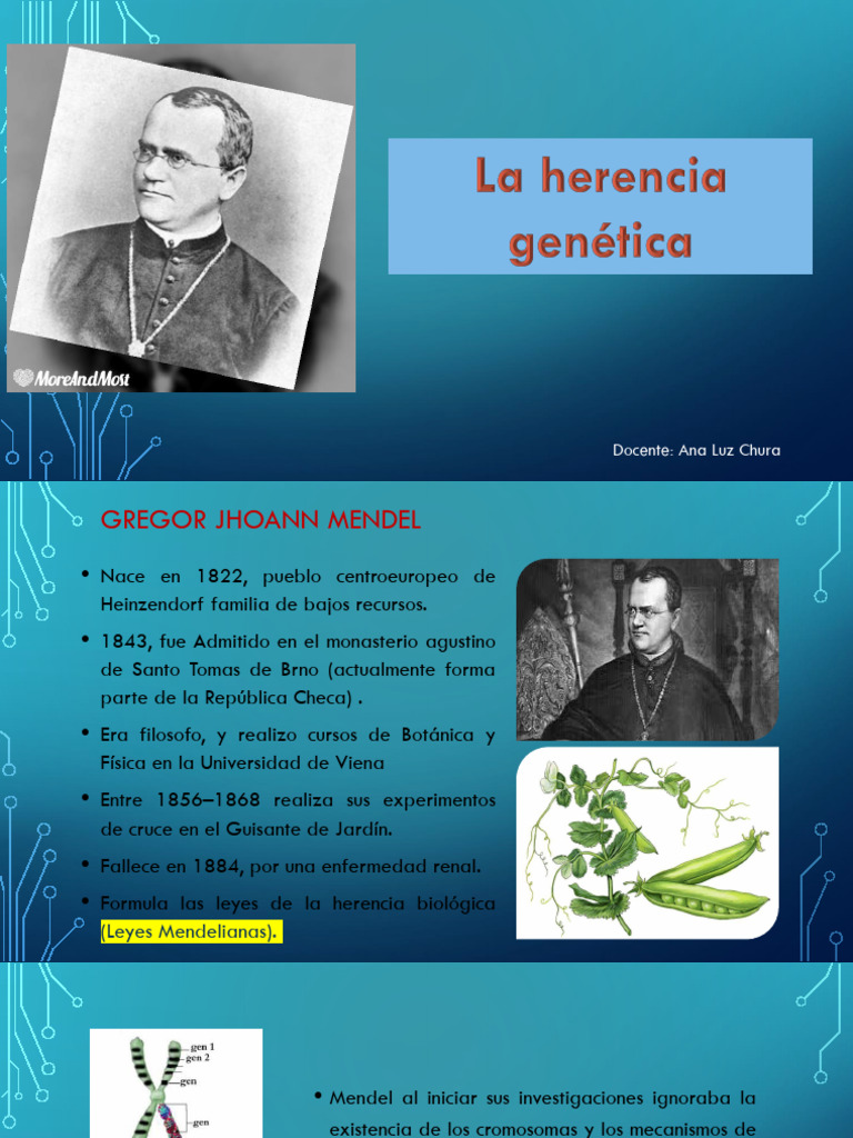 Leyes de Mendel y Cruces Genéticos | PDF | Salud y bienestar