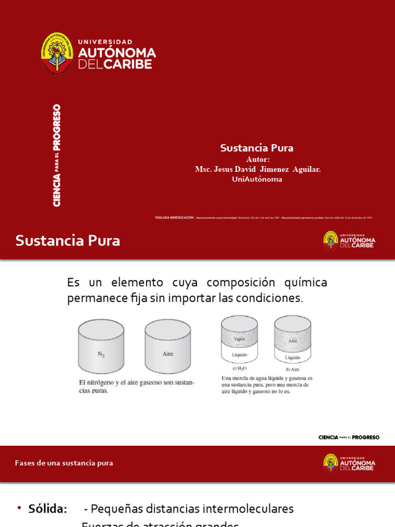 Sustancia Pura | PDF