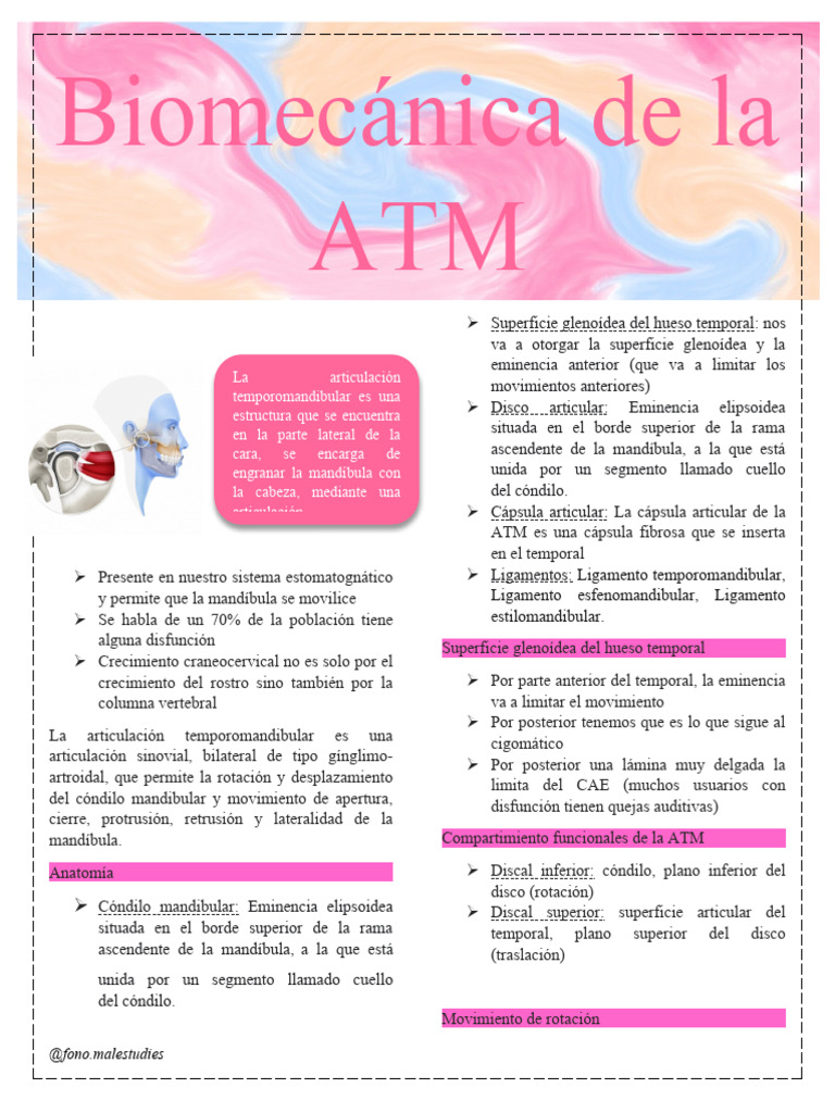 Biomecánica de La ATM | PDF