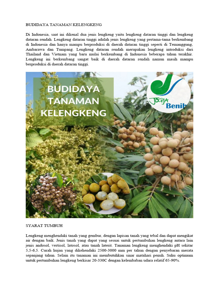 Budidaya Tanaman Kelengkeng | PDF Budidaya Tanaman Kelengkeng | PDF