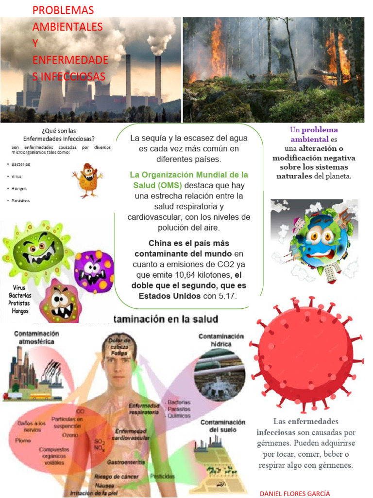 infografia medio ambiente | PDF