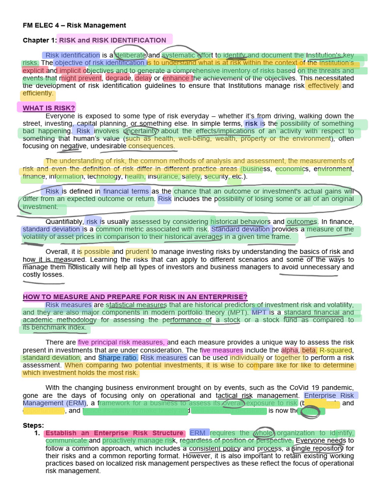 Risk Management Module 1 | PDF