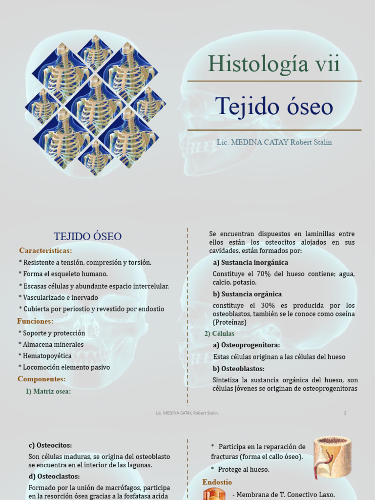 Tejido Óseo | PDF