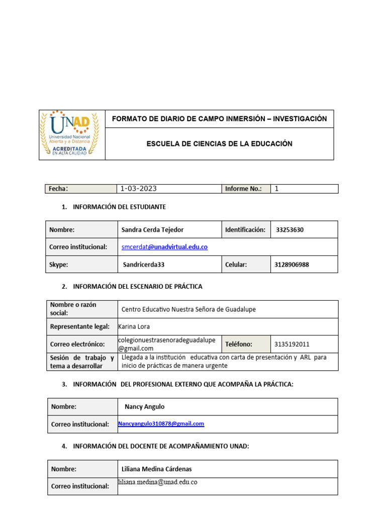 4 Diarios de Campo Sandra Cerda T. | PDF