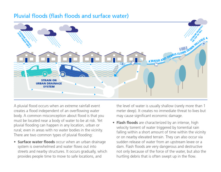 Three Common Types of Flood-Part3 | PDF