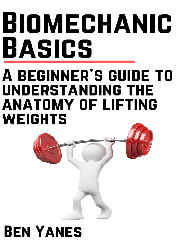 A Beginner's Guide To Understanding The Anatomy of Lifting Weights | PDF